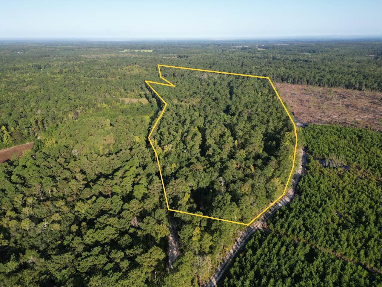 00 Camelot Drive, Rowesville, SC 29133 (#24021987) :: The Cassina Group