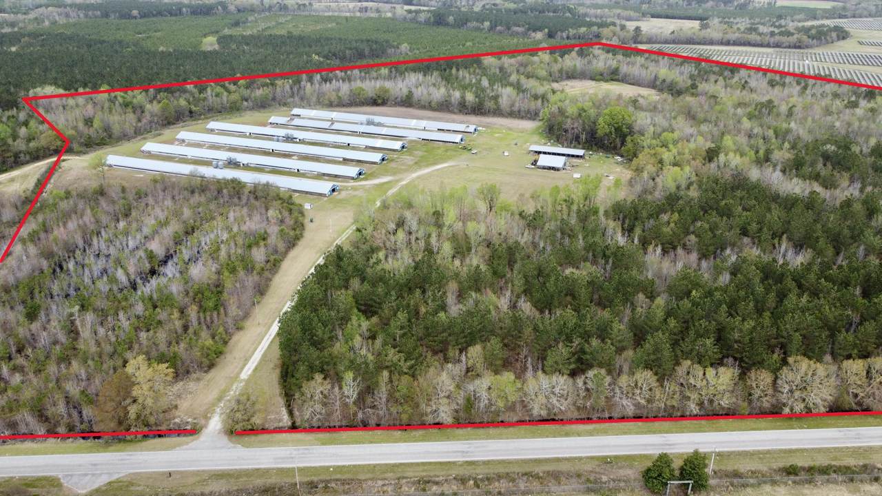 0 Bowman Branch Highway, Bowman, SC 29018 (#25008489) :: The Cassina Group