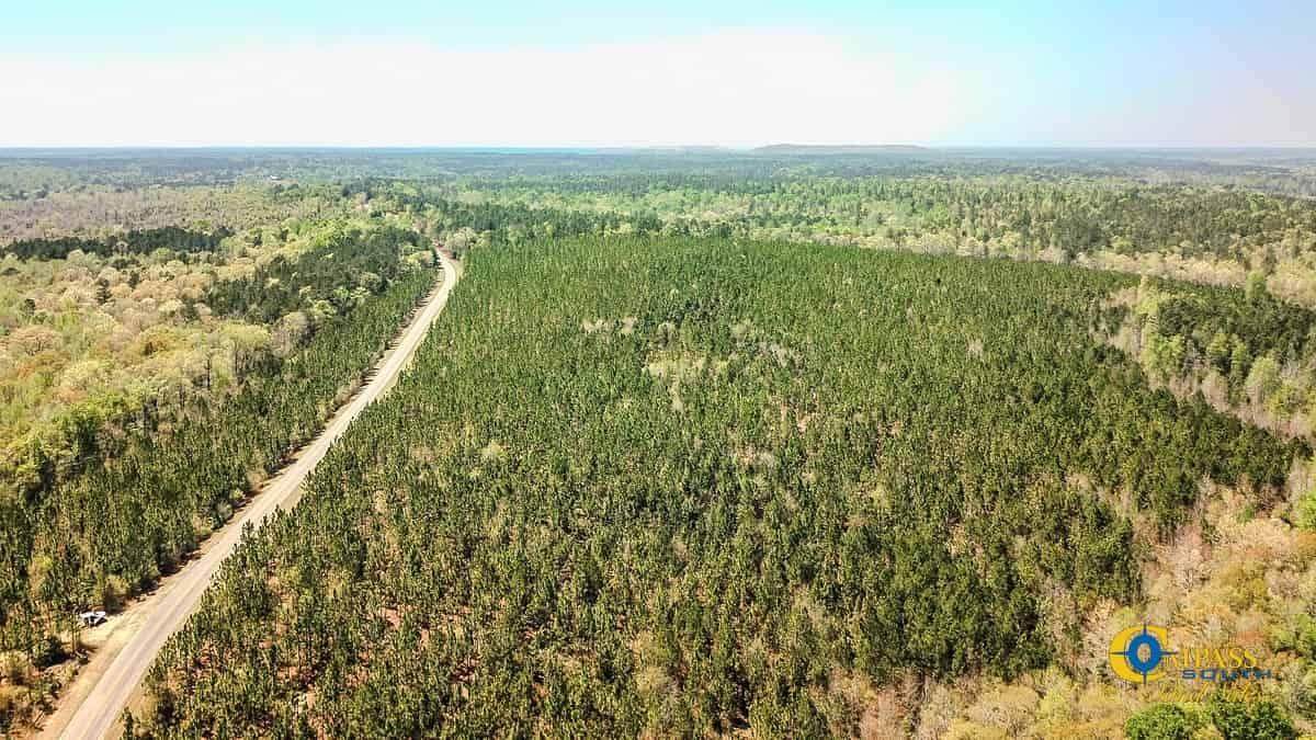 5659 Mt Pisgah Rd, Bethune, SC 29009 (#24017336) :: The Cassina Group