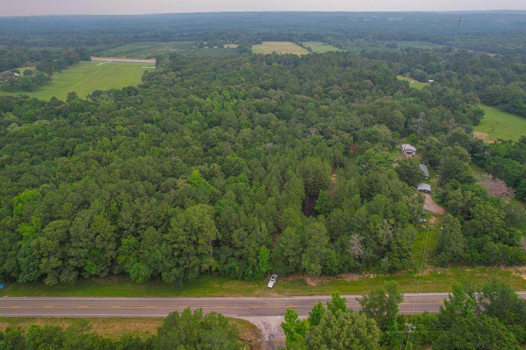TBD Fm 3204, BROWNSBORO, TX 75756 (MLS #105967) :: Steve Grant Real Estate