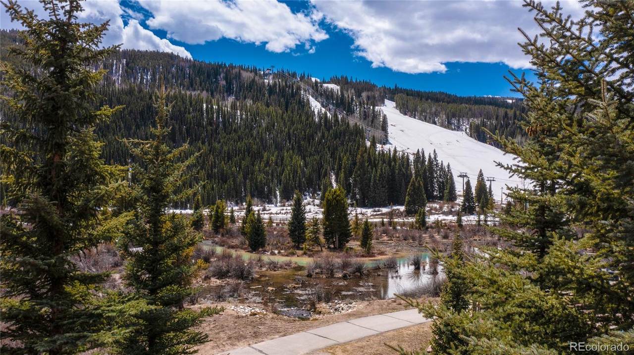 58 Hawk Circle #2342, Dillon, CO 80435 (#3124566) :: City and Summit Group