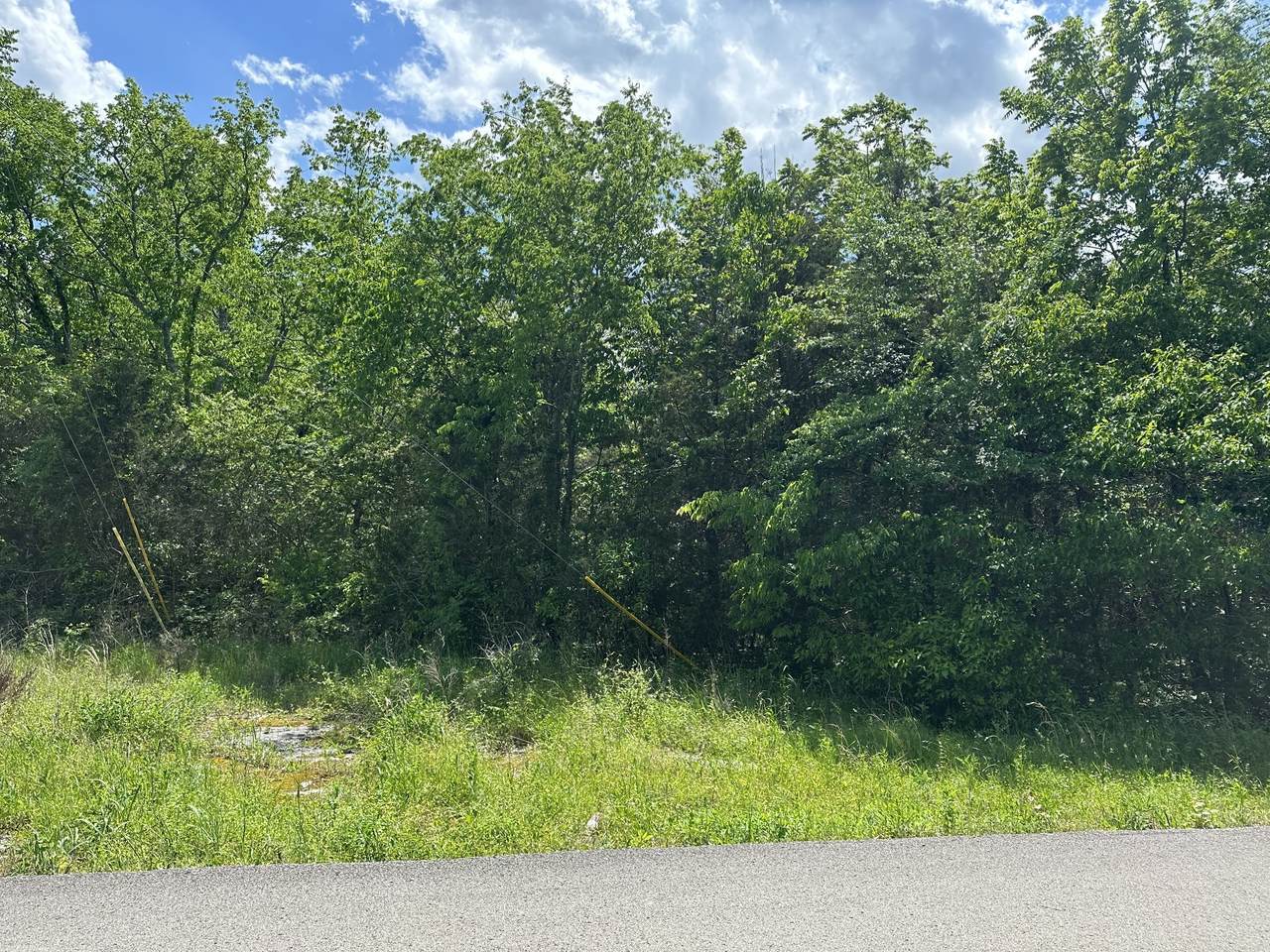 0 Joe Brown Rd, Murfreesboro, TN 37129 (MLS #RTC2657056) :: EXIT Realty ...