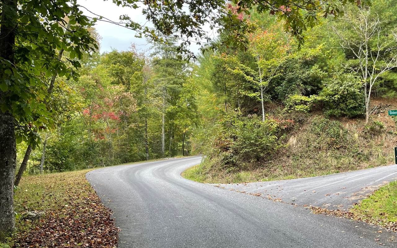 LT 59 Fires Creek Cove Road, Hayesville, NC 28904 (MLS #324615) :: Path ...