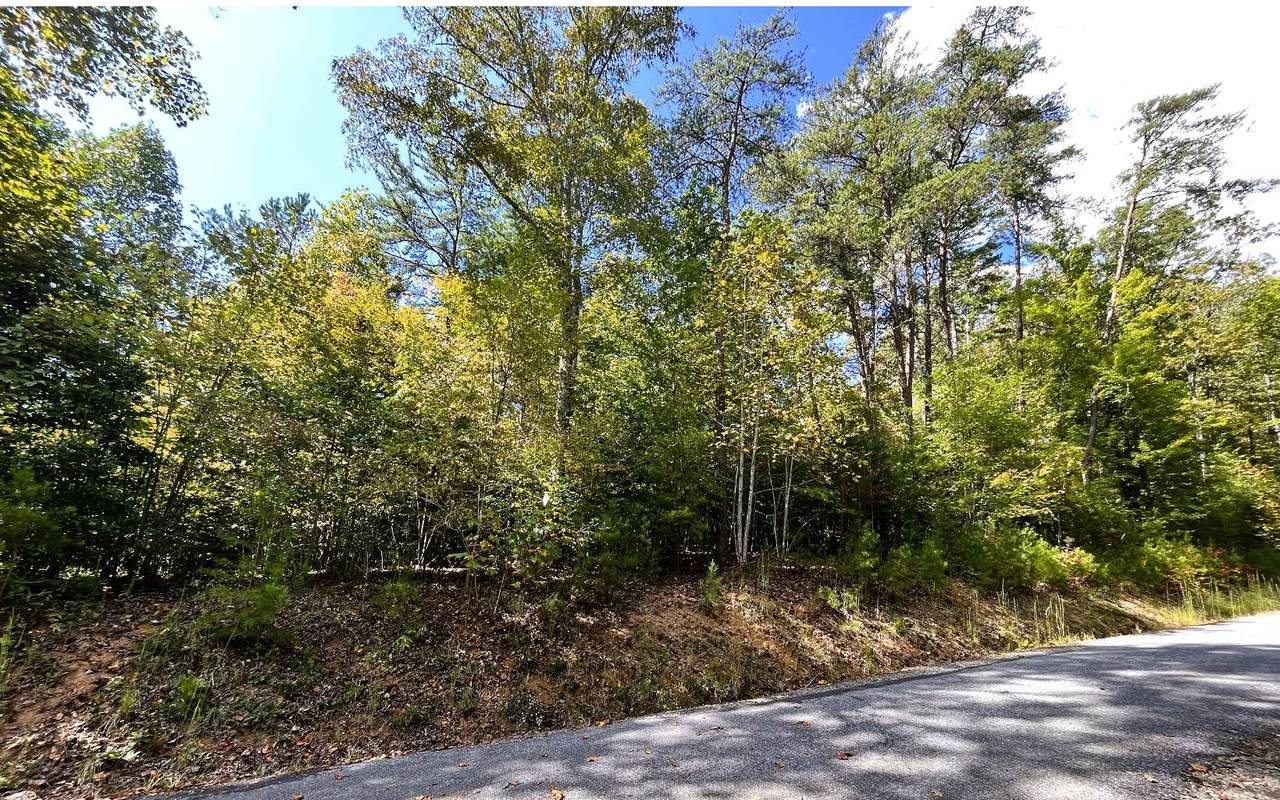 Hayesville, NC 28904 :: Path & Post Real Estate