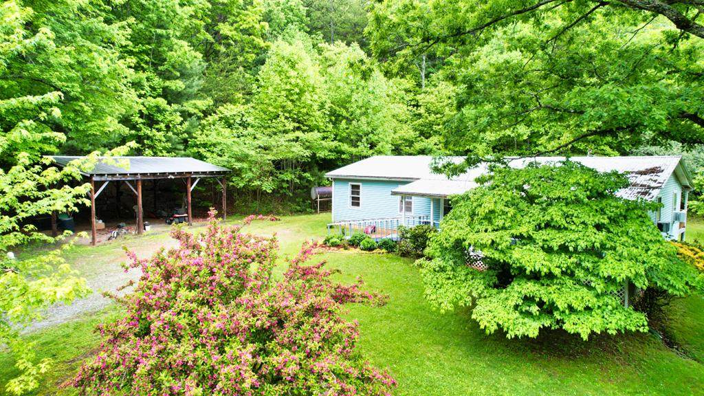 111 Chestnut Gap Road, Blue Ridge, GA 30513 (MLS #403931) :: Path ...