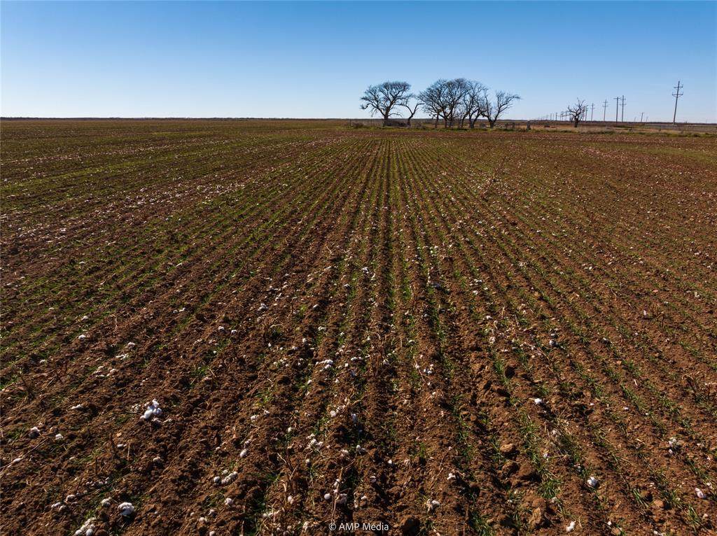 Mccaulley, TX 79534 :: The Rhodes Team