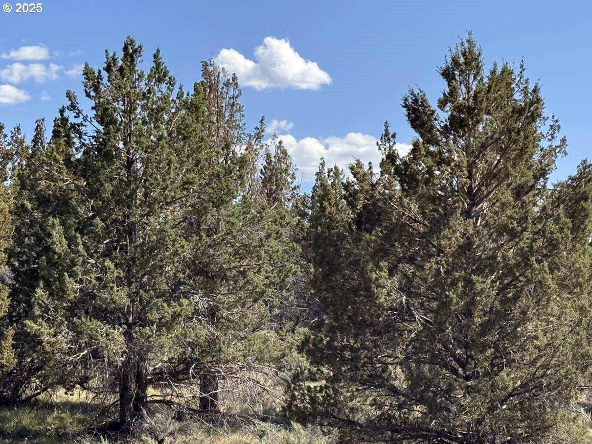Hwy 140 #300, Beatty, OR 97621 (MLS #790433508) :: Central Oregon Home Pros