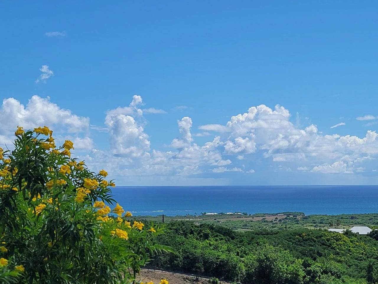 97 Bugby Hole Co, St. Croix, VI 00820 (MLS #25-192) :: Calabash Real Estate