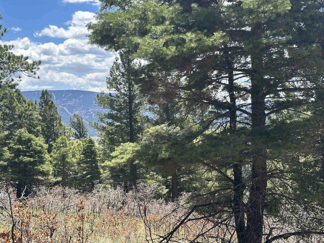 Lots 16 Lot17 Palo Flechado Ridge Road, Angel Fire, NM 87710 (MLS ...